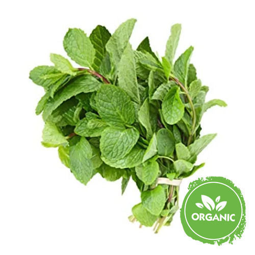 Farzana | Buy Fresh Organic Mint Online at the best price