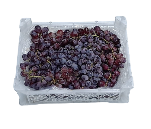 Farzana | Buy Grapes Red Seedless Online at the best price