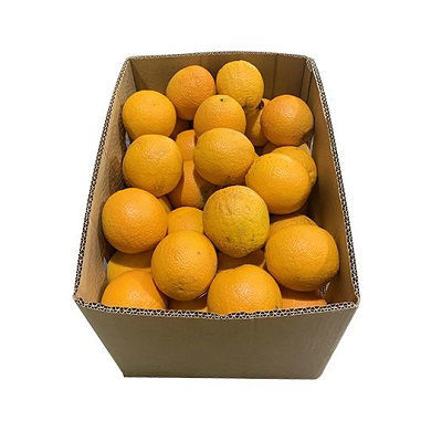 Farzana | Fresh and Juicy Oranges for Juicing - Farzana.ae
